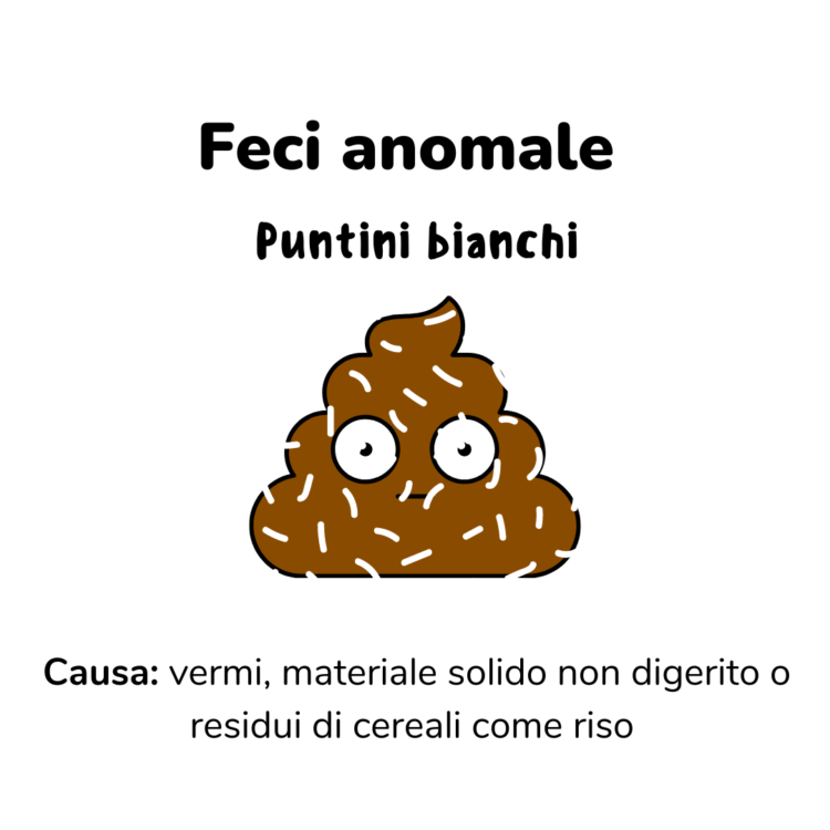 Come interpretare colore e consistenza delle feci del cane