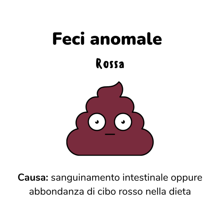 Come interpretare colore e consistenza delle feci del cane